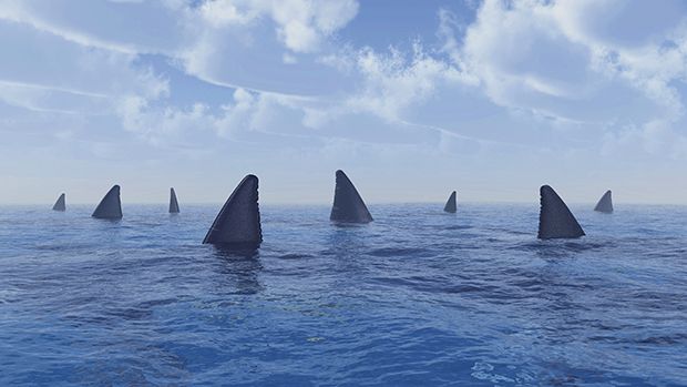 Taking emerging risks captive | Captive International